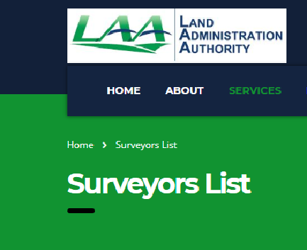 surveyors list